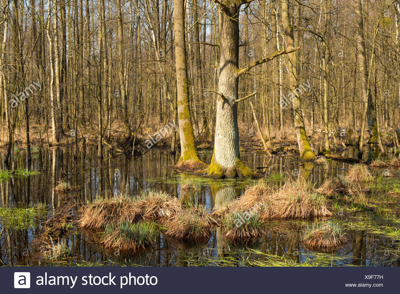 Alluvial Stock Photos & Alluvial Stock Images - Alamy
