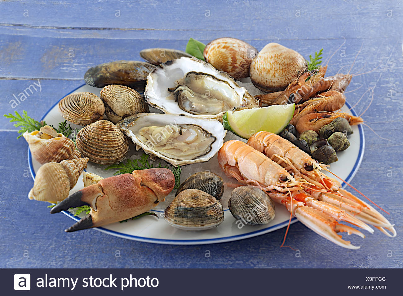 Edible Periwinkle High Resolution Stock Photography and Images - Alamy