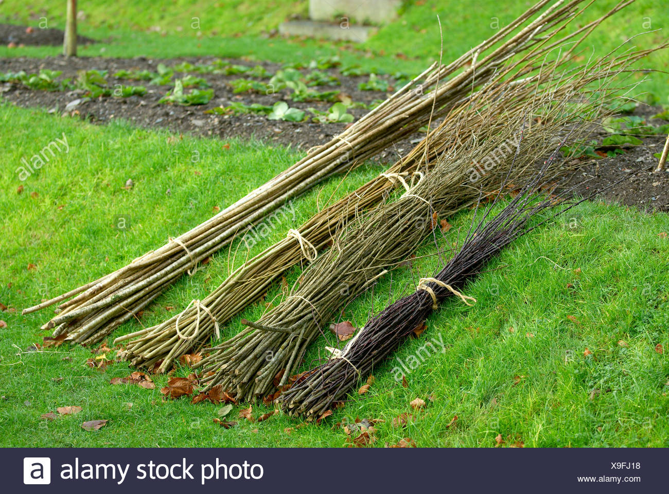 Willow Rods Stock Photos & Willow Rods Stock Images - Alamy