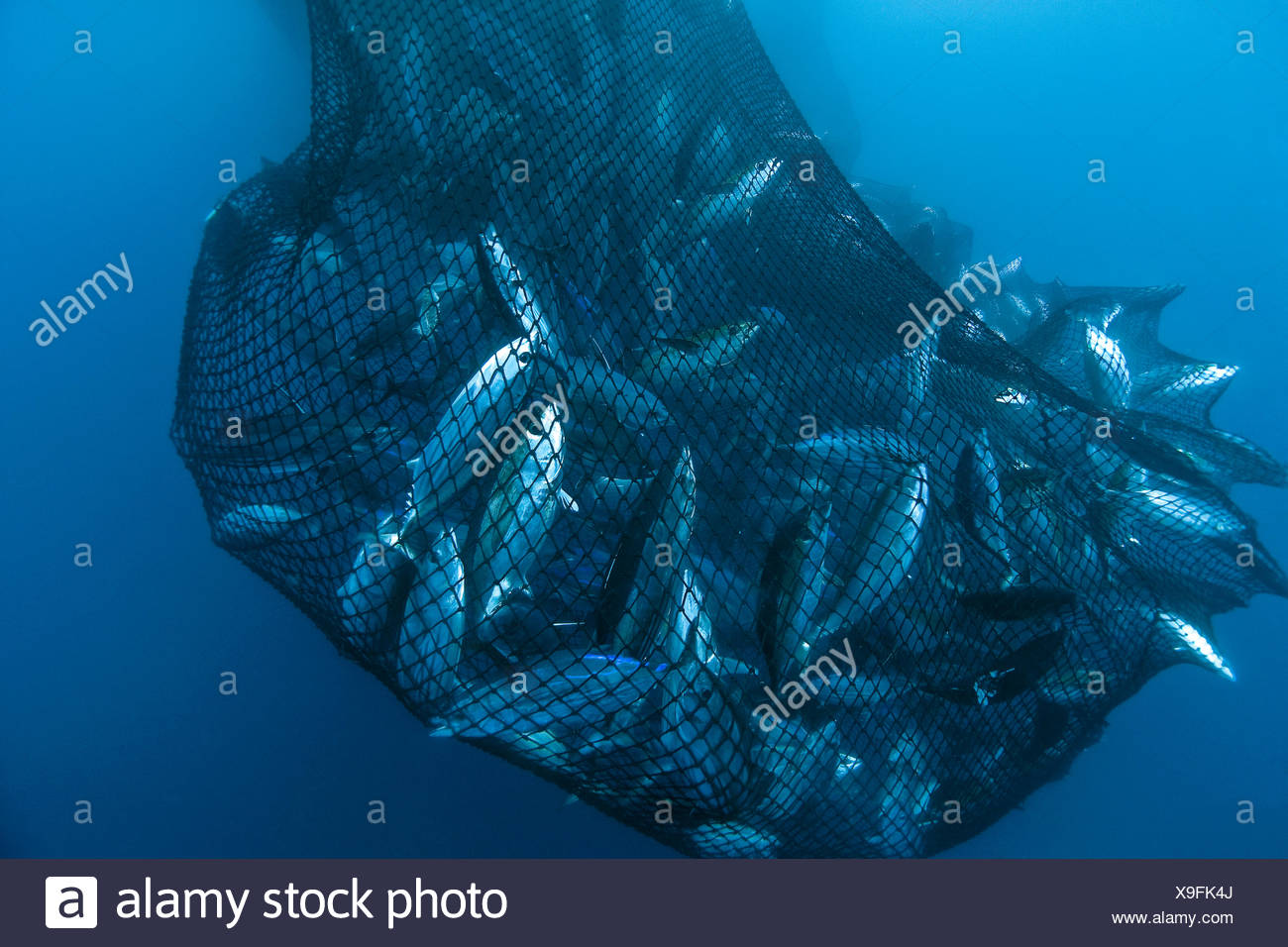 Drag Net High Resolution Stock Photography and Images - Alamy