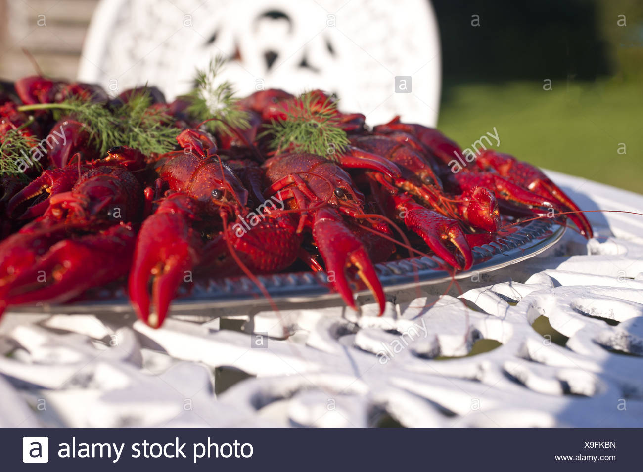 Flusskrebse High Resolution Stock Photography and Images - Alamy