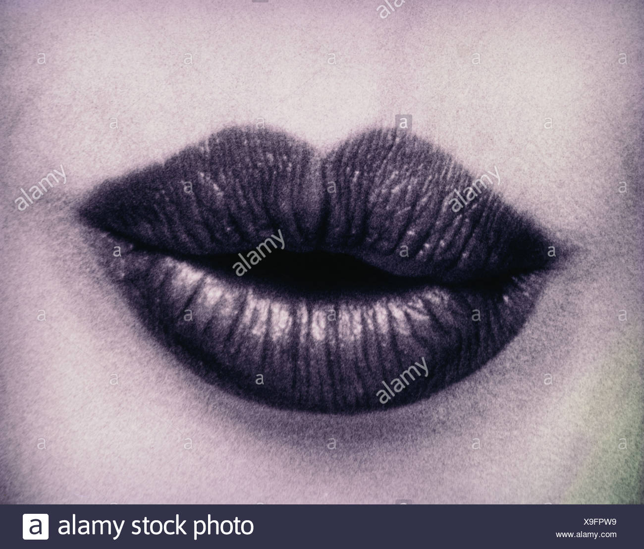 Whistle Mouth Whistling Stock Photos & Whistle Mouth Whistling Stock ...