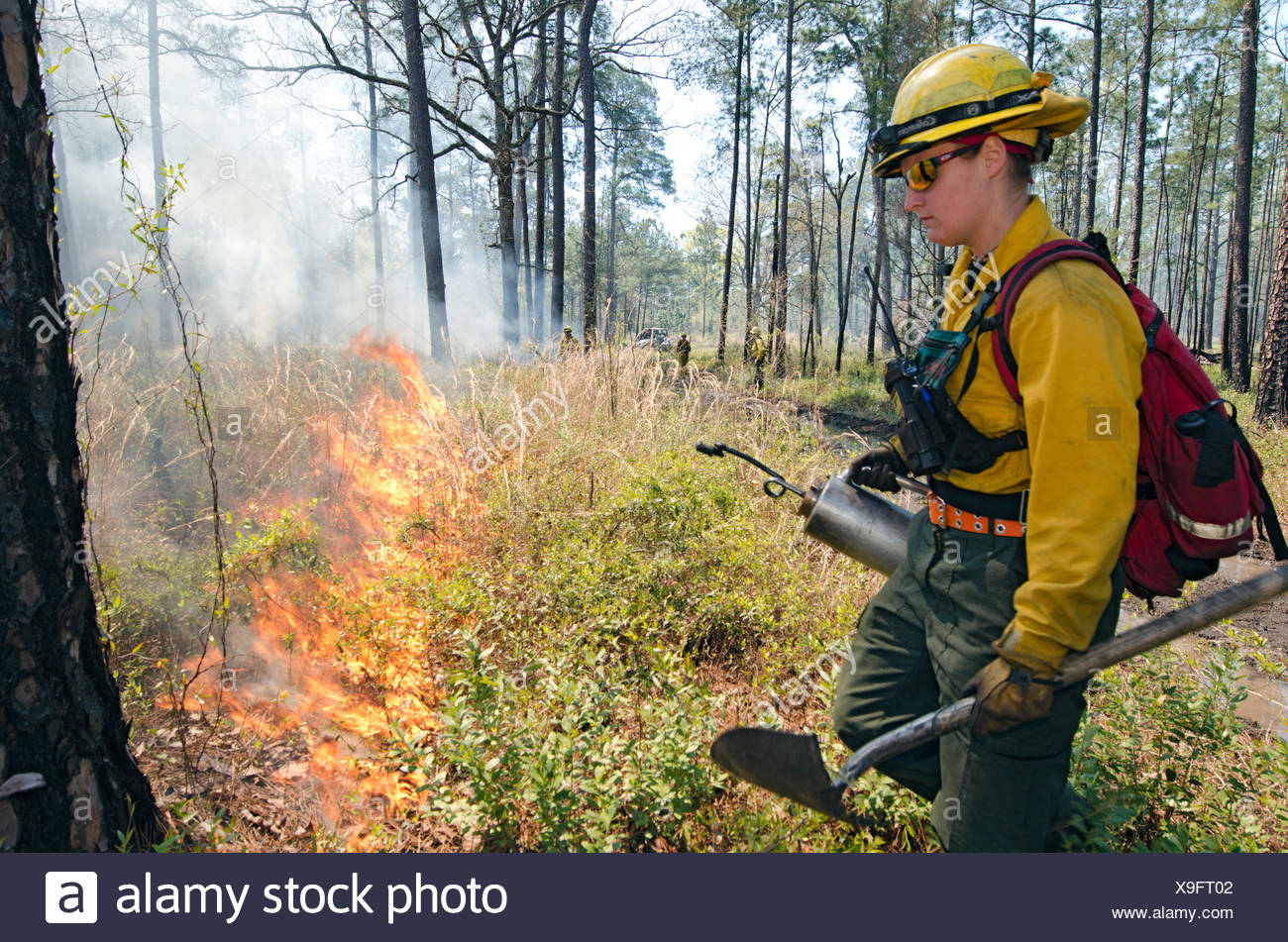Drip Torch Stock Photos & Drip Torch Stock Images - Alamy