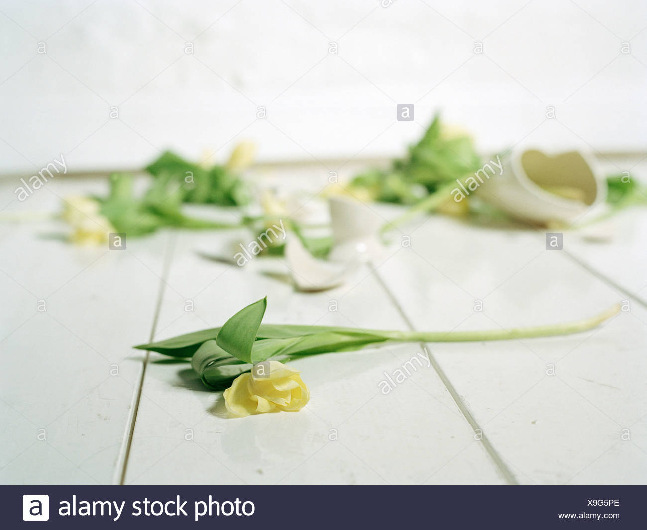 Broken Vase Flower Stock Photos & Broken Vase Flower Stock Images - Alamy