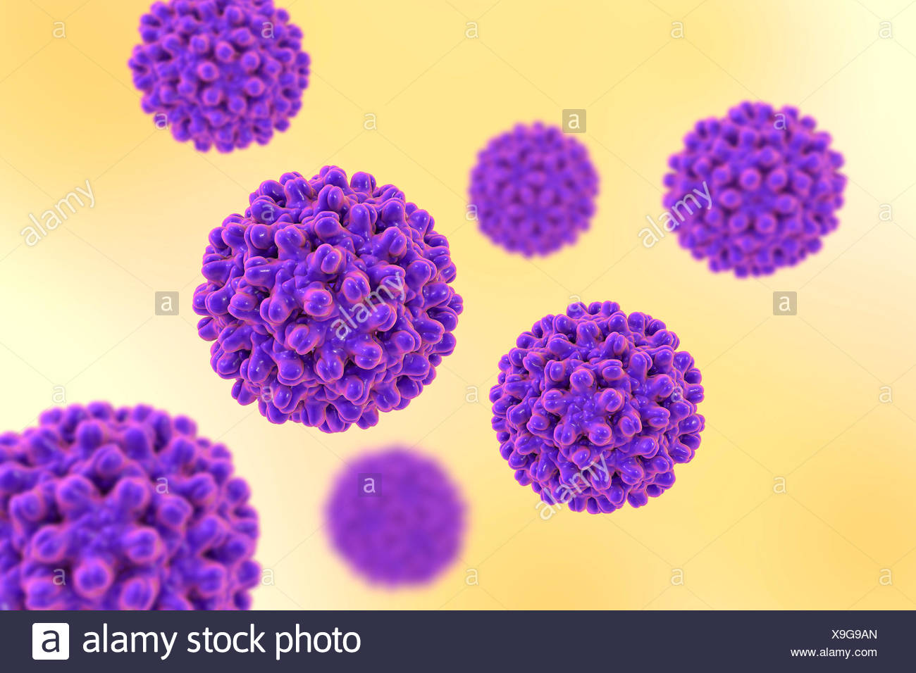 Hepadnaviridae High Resolution Stock Photography and Images - Alamy