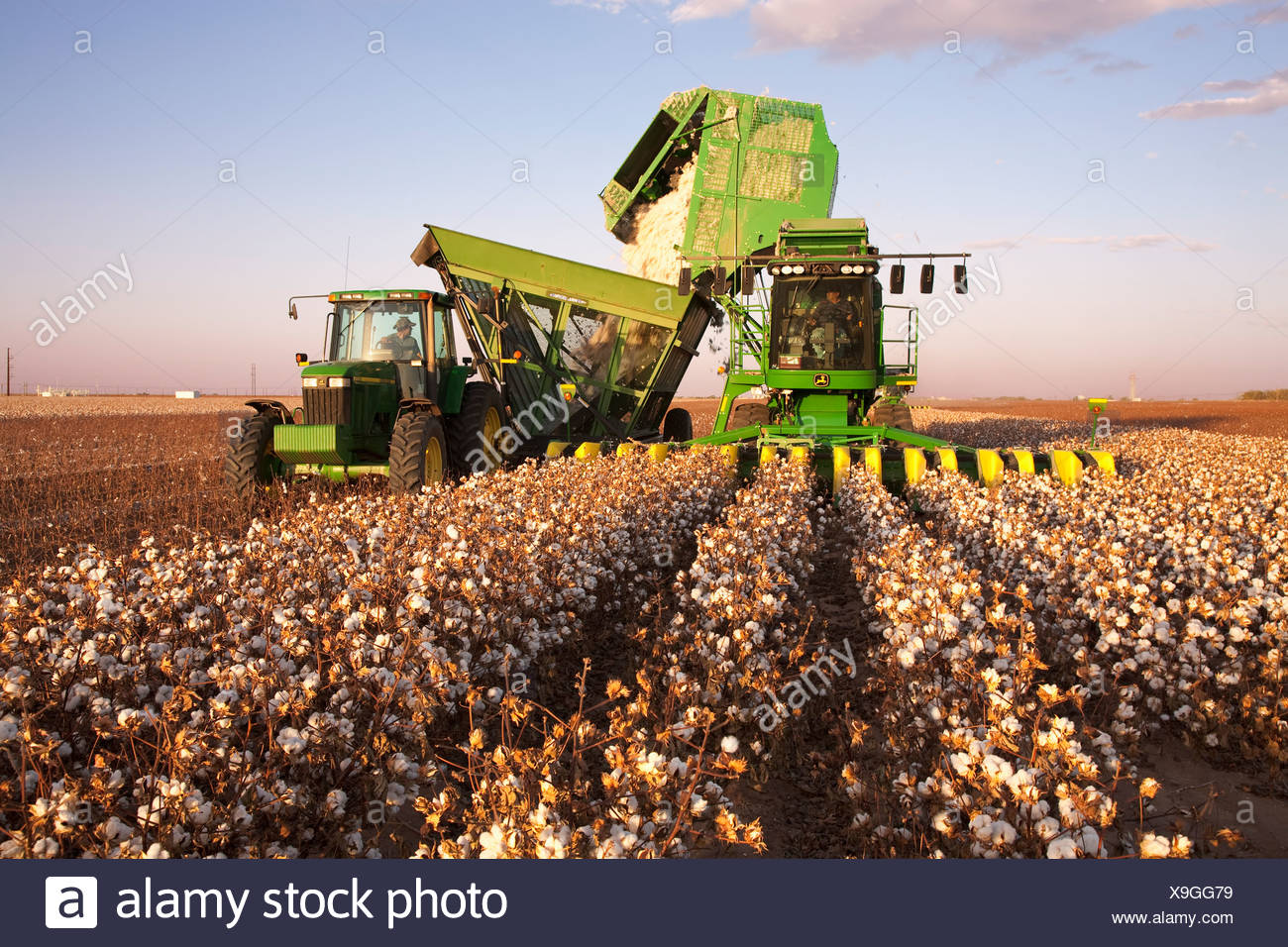 Wagon Rural Country Farming Farm Field High Resolution Stock ...