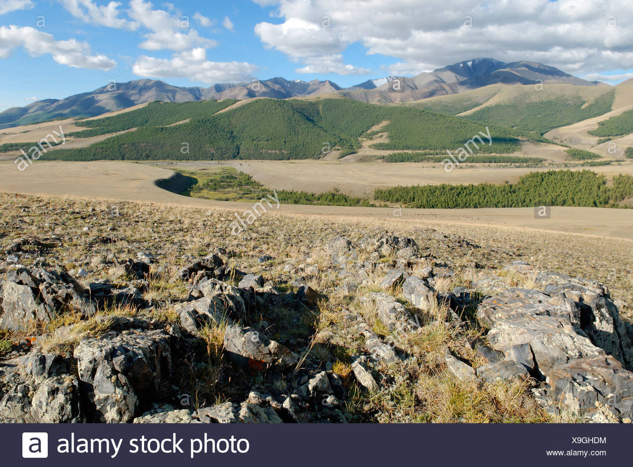 Steppes Russia High Resolution Stock Photography and Images - Alamy