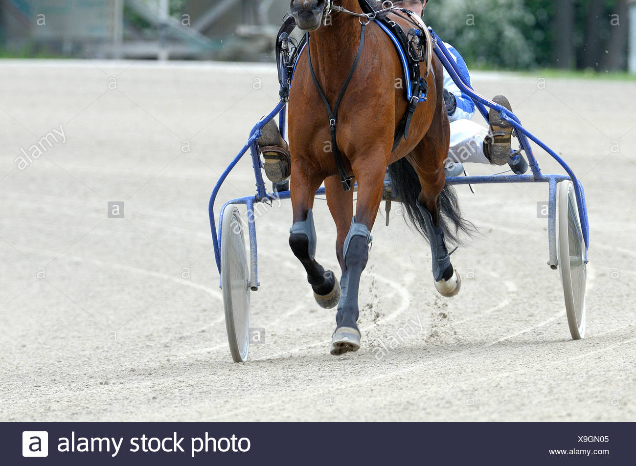 Sulky Race Stock Photos & Sulky Race Stock Images - Alamy
