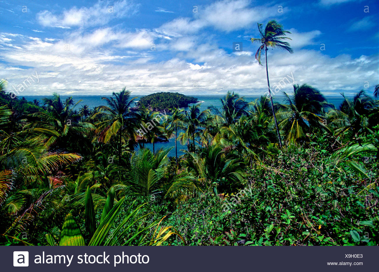 Guyana Coast South America High Resolution Stock Photography and Images ...