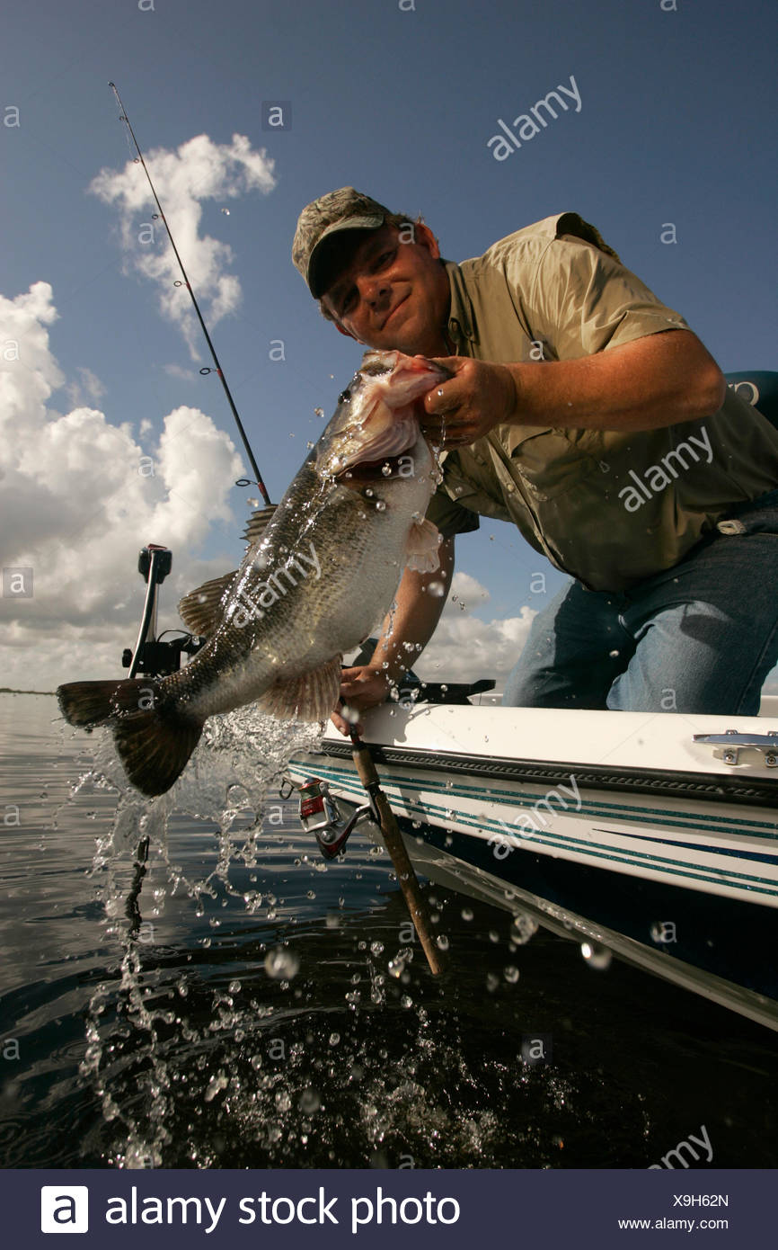 Hooked Bass Stock Photos & Hooked Bass Stock Images - Alamy