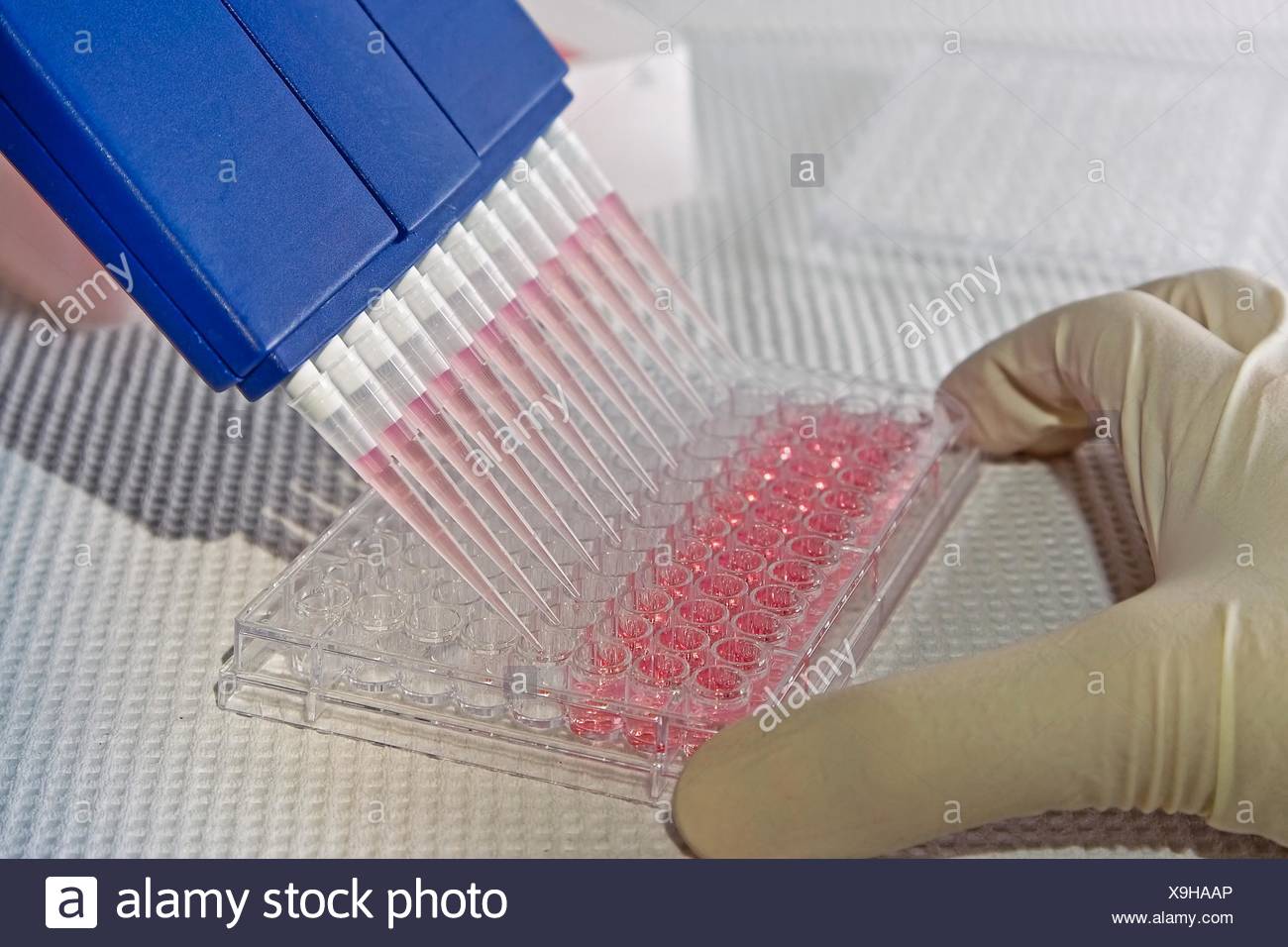 Solution Channel High Resolution Stock Photography and Images - Alamy