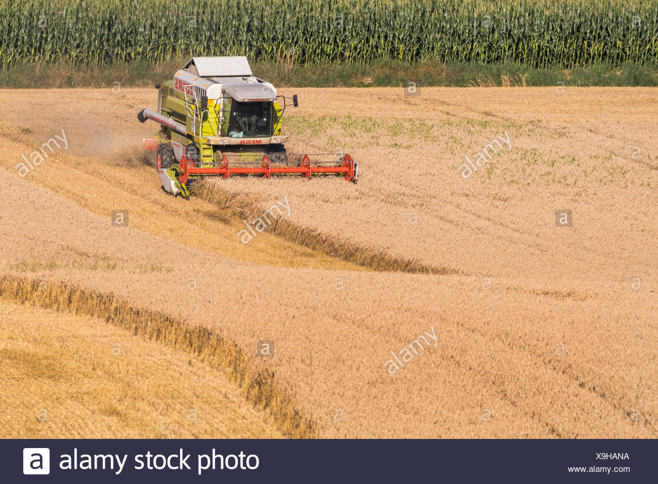 Erntemaschinen Stock Photos & Erntemaschinen Stock Images - Alamy