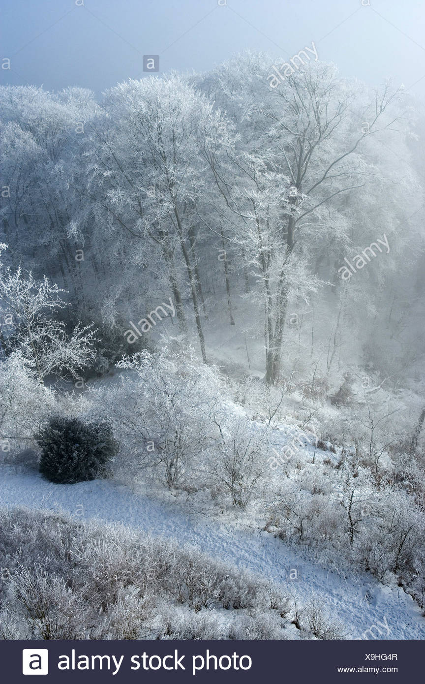 Heiligenberg Castle High Resolution Stock Photography and Images - Alamy
