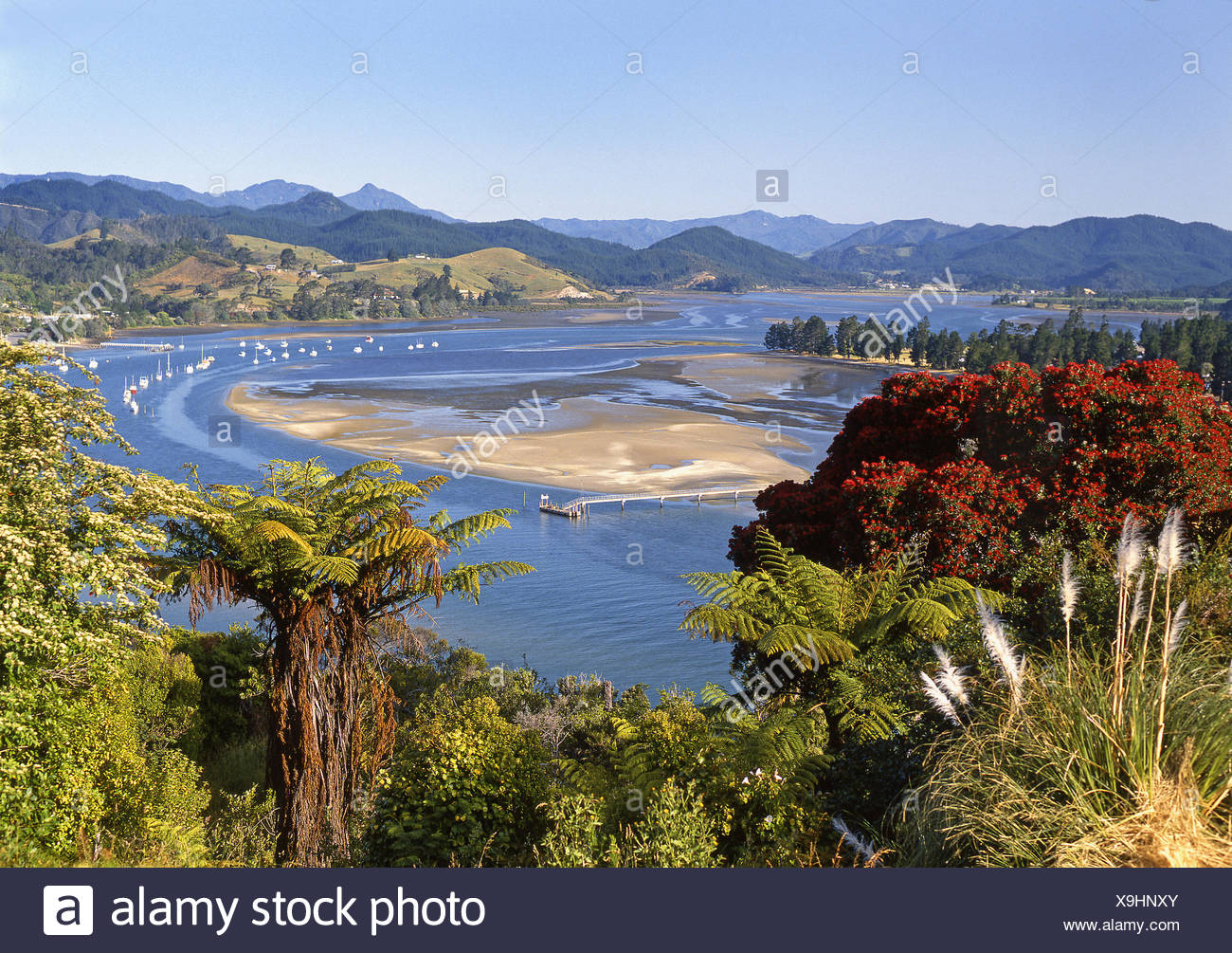 Tairua Stock Photos & Tairua Stock Images - Alamy