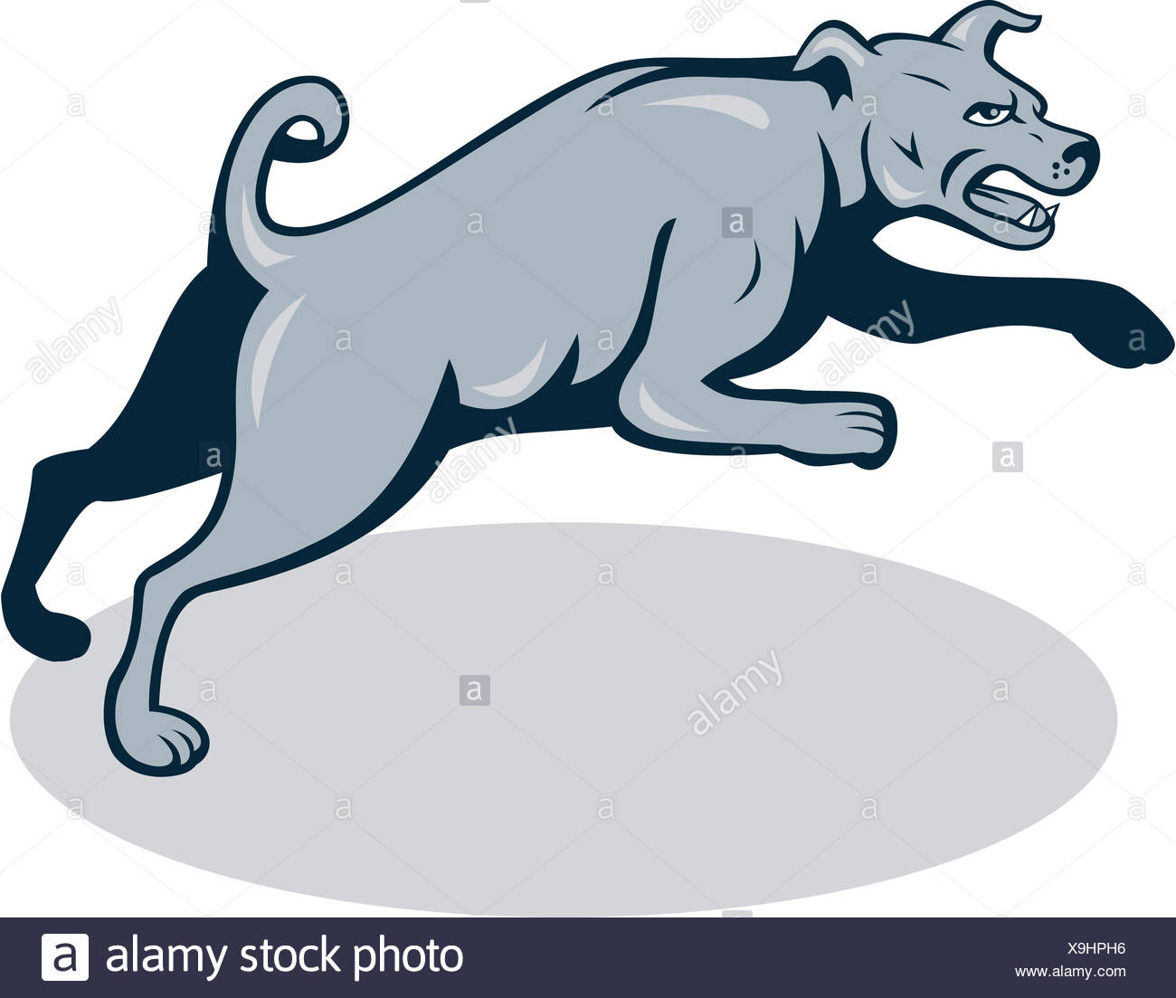 Mastiff Dog Angry High Resolution Stock Photography and Images - Alamy