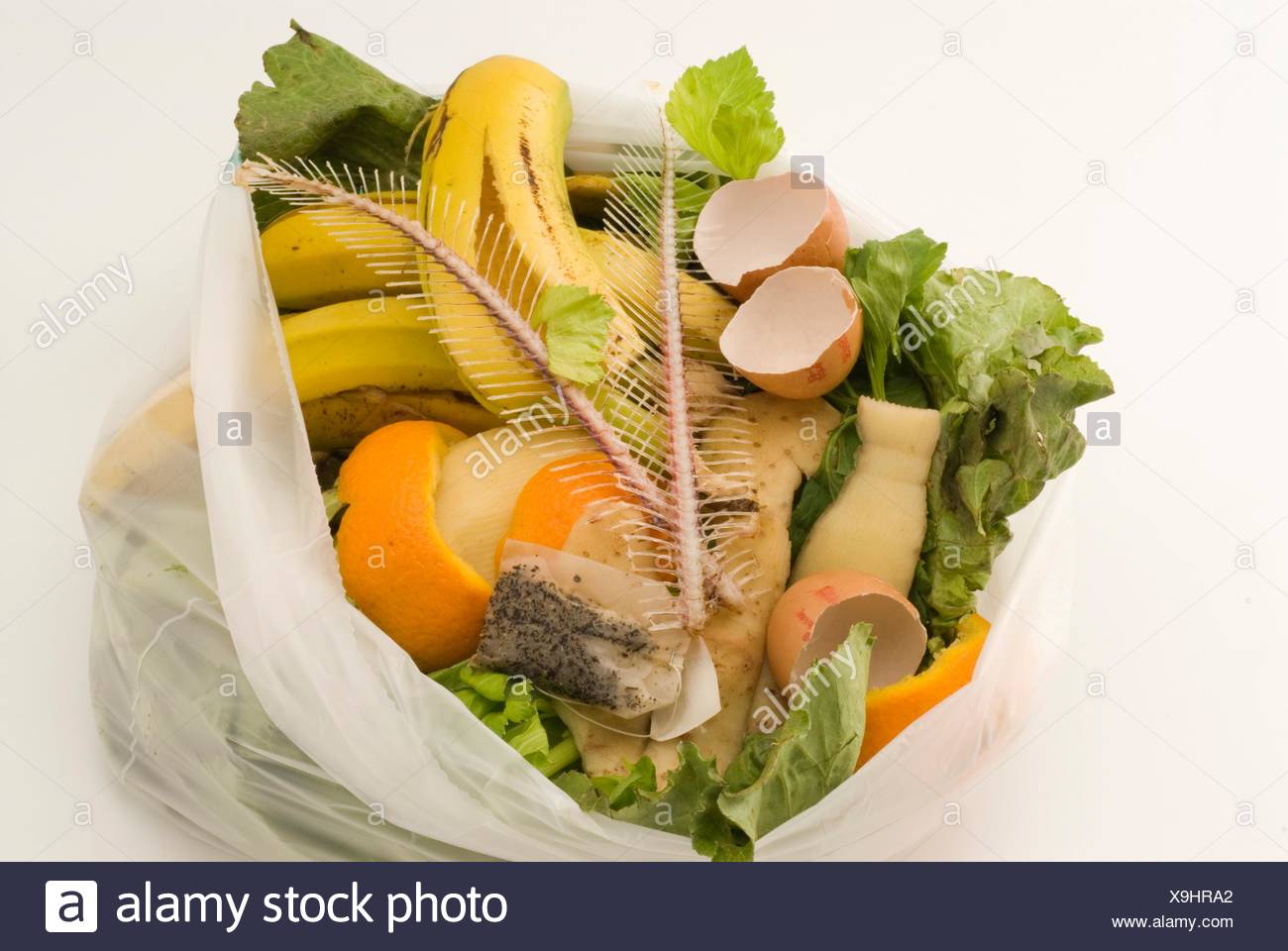 Biodegradable Waste High Resolution Stock Photography and Images - Alamy