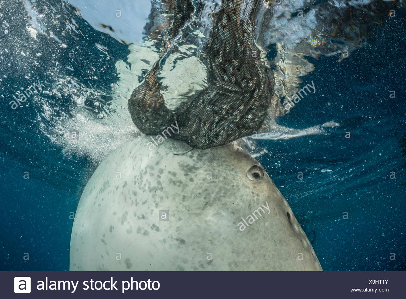 Underneath High Resolution Stock Photography and Images - Alamy