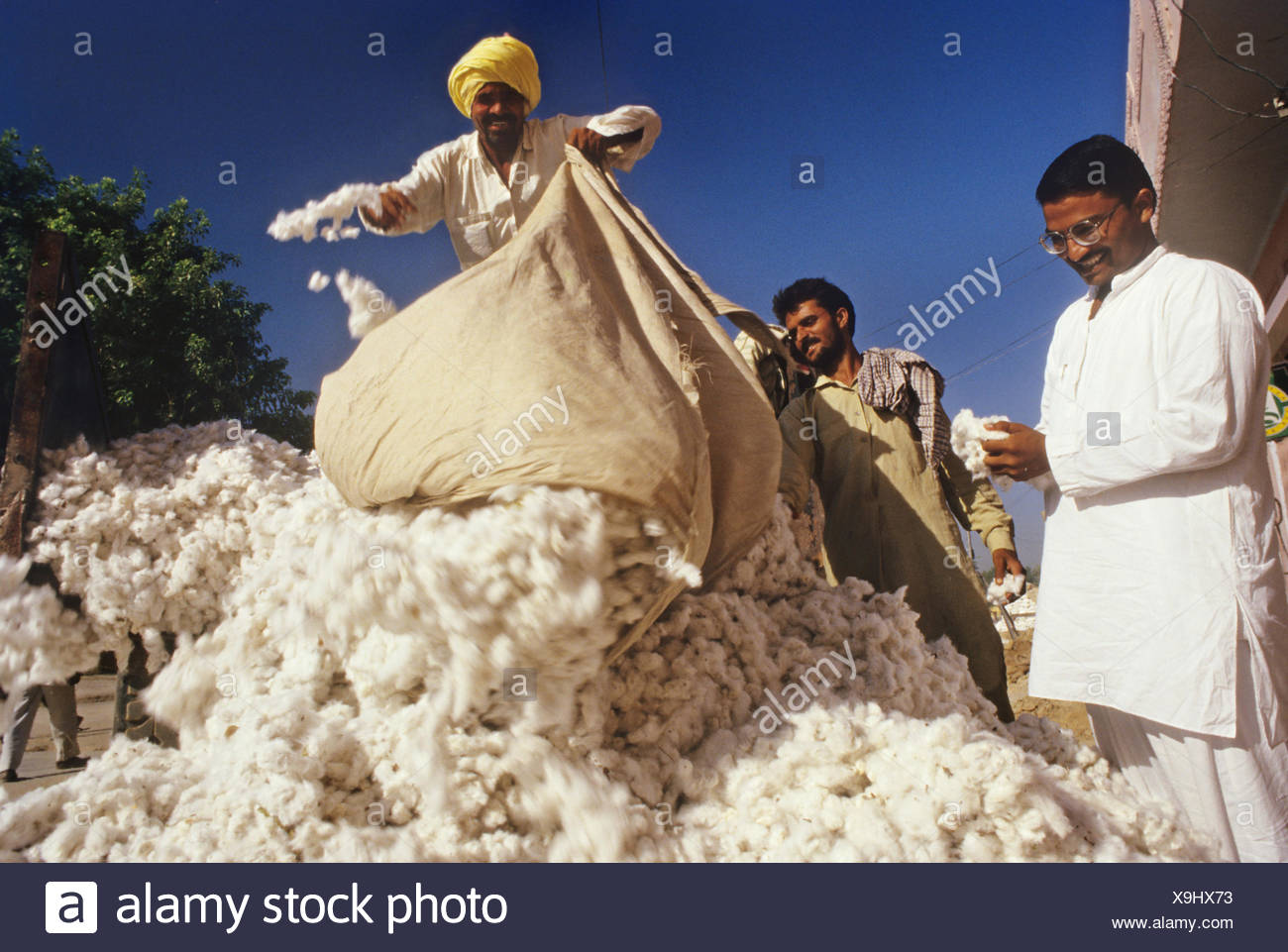 Cotton Traders High Resolution Stock Photography and Images - Alamy