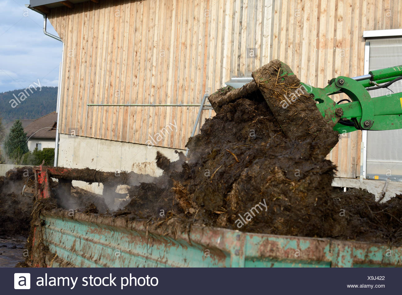 Stall Manure Stock Photos & Stall Manure Stock Images - Alamy