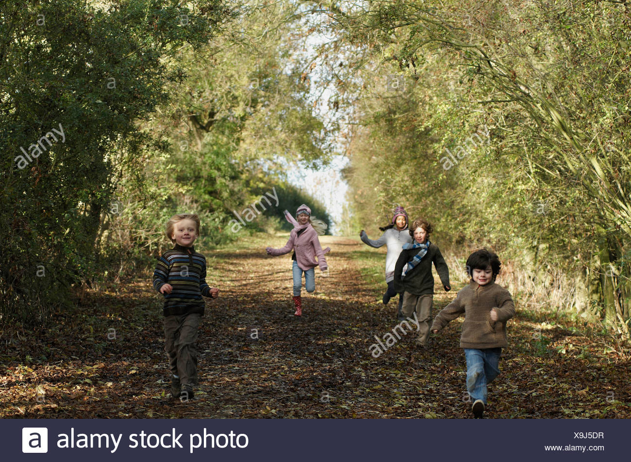 English Countryside Lane High Resolution Stock Photography and Images ...