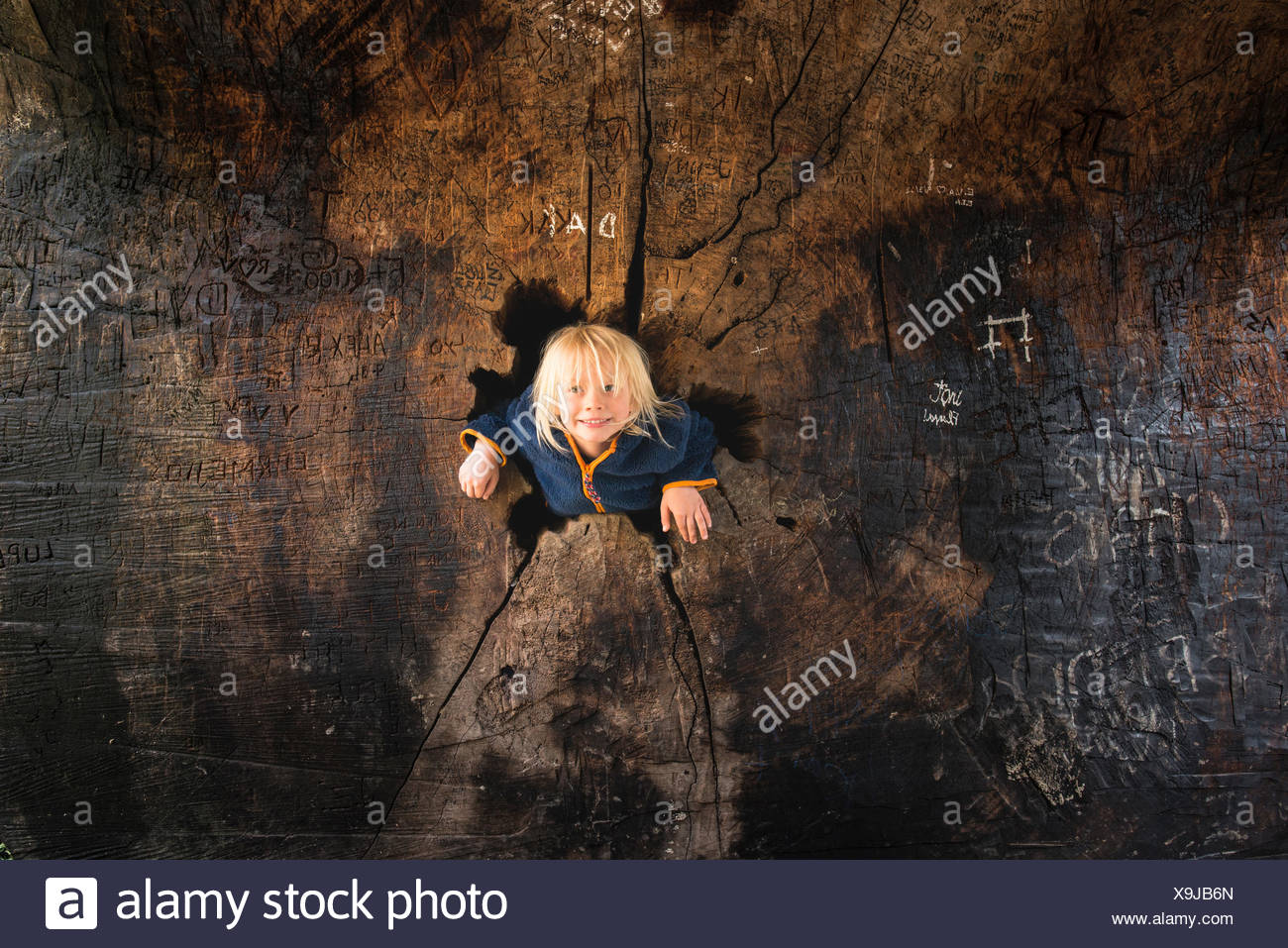 Child Stuck Up Tree High Resolution Stock Photography and Images - Alamy
