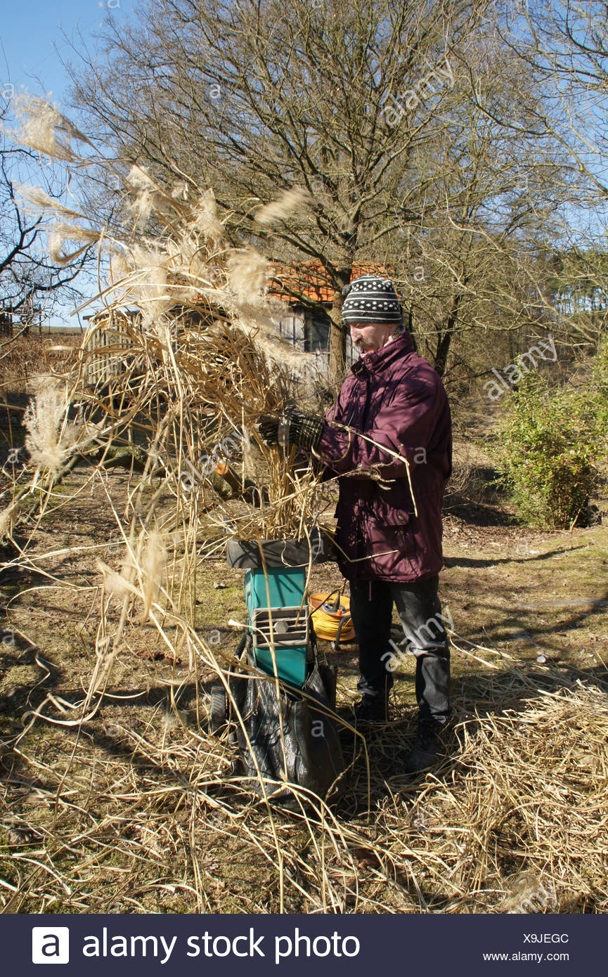 Holz Schreddern High Resolution Stock Photography and Images - Alamy