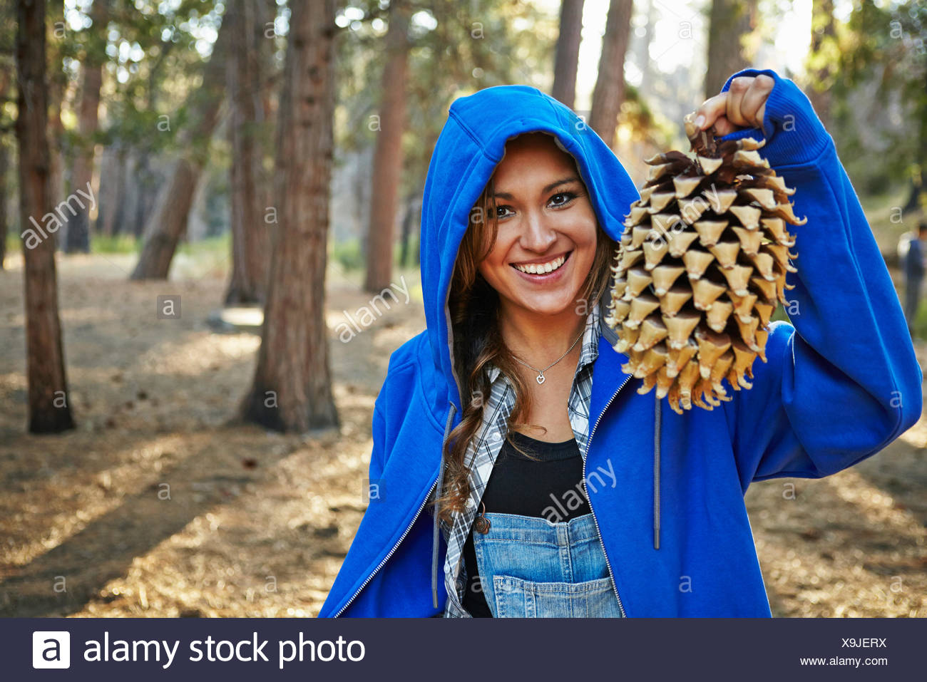 Female Cone High Resolution Stock Photography and Images - Alamy