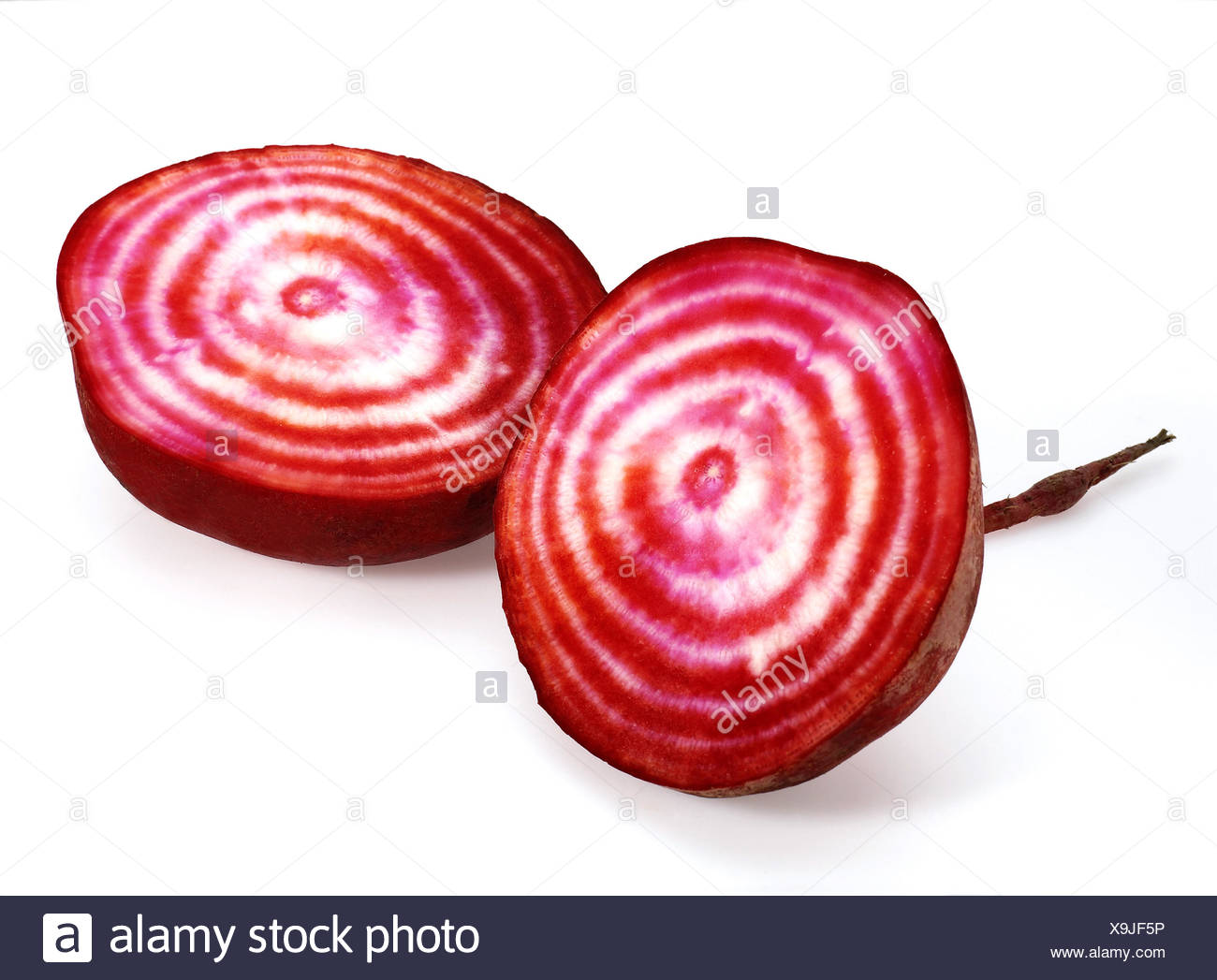 Beta Vulgaris Var Conditiva High Resolution Stock Photography and ...