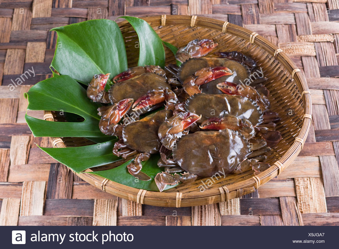 Mangrove Crab Stock Photos & Mangrove Crab Stock Images - Alamy