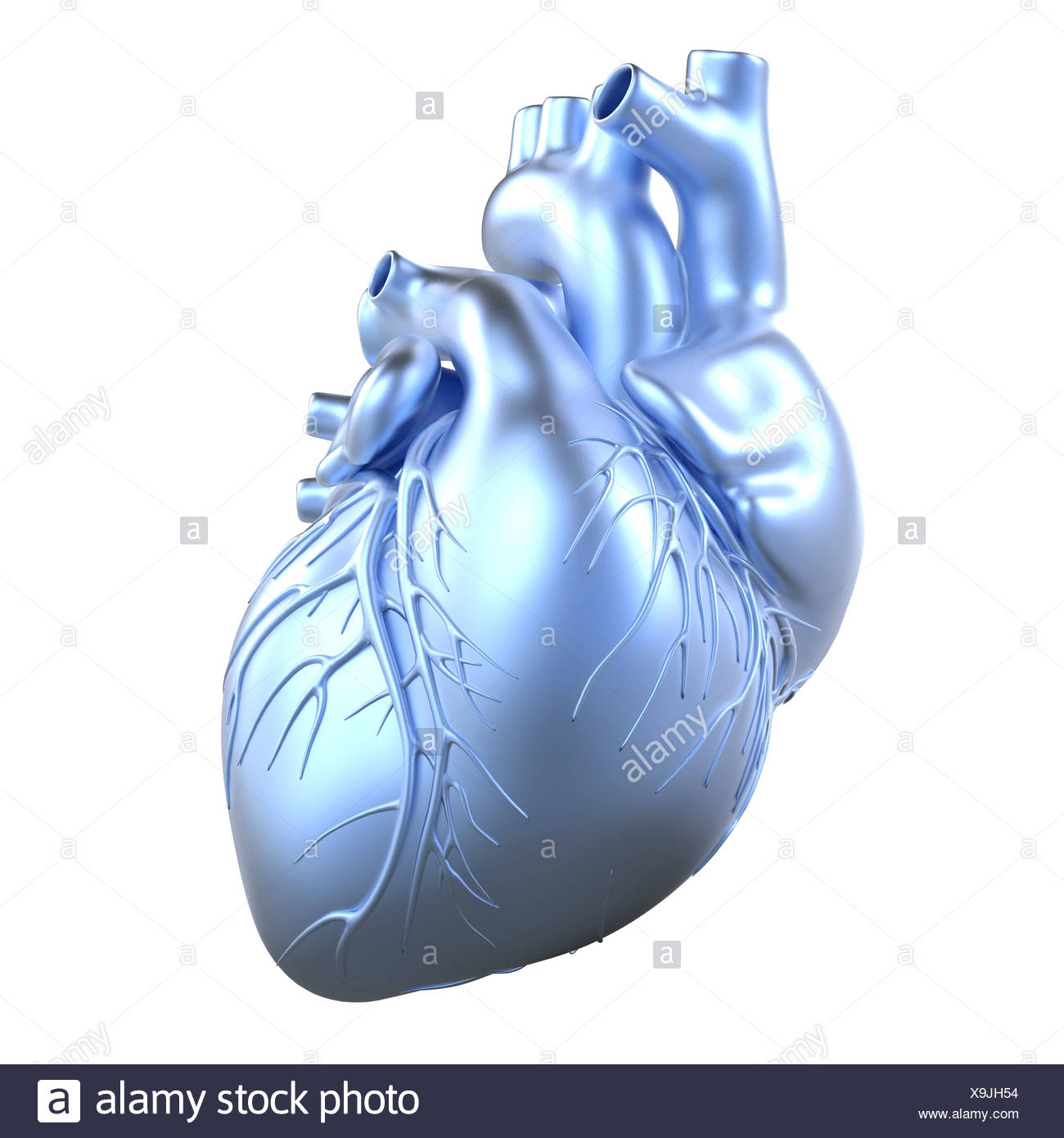 Coronary Blood Vessel High Resolution Stock Photography and Images - Alamy