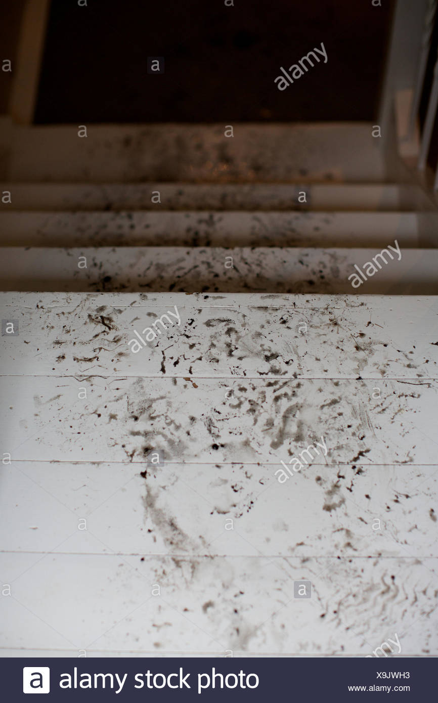 Dirty Floor High Resolution Stock Photography and Images - Alamy