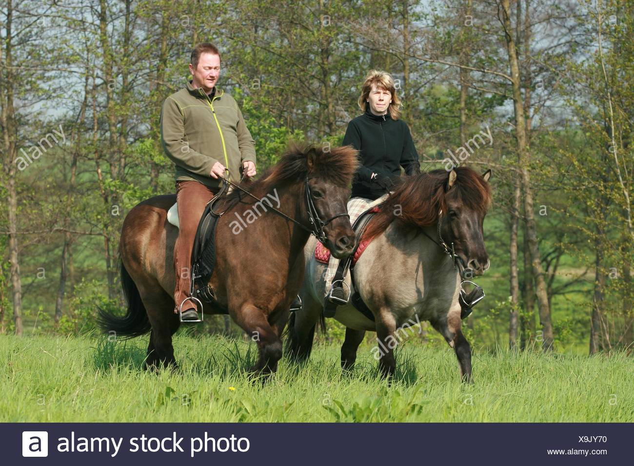 Man Riding Pony High Resolution Stock Photography and Images - Alamy