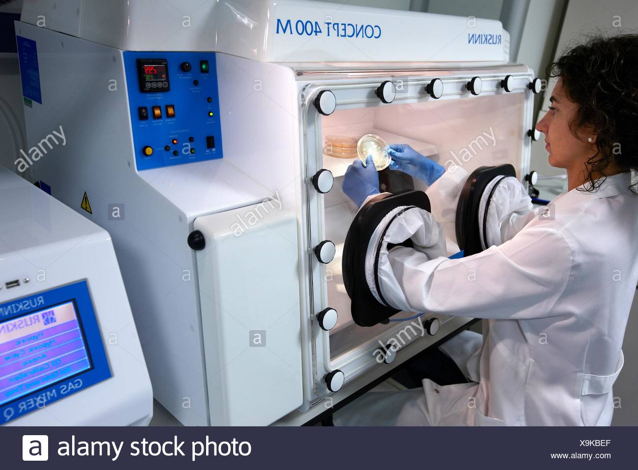 Anaerobiosis High Resolution Stock Photography and Images - Alamy