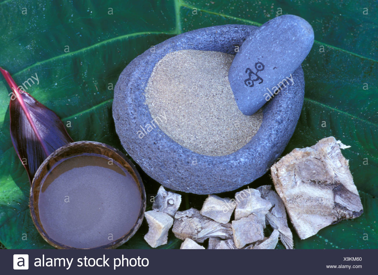 Kava Root High Resolution Stock Photography and Images - Alamy