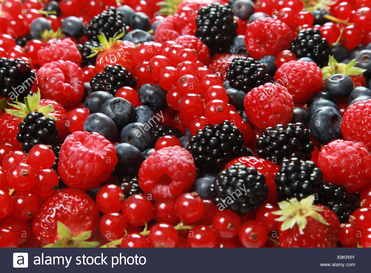 Schwarzbeere High Resolution Stock Photography and Images - Alamy