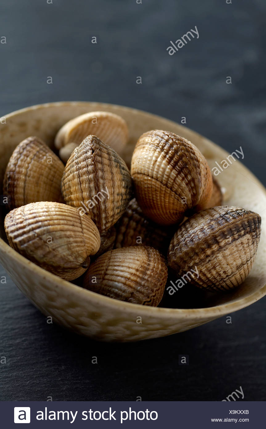 Cockles High Resolution Stock Photography and Images - Alamy
