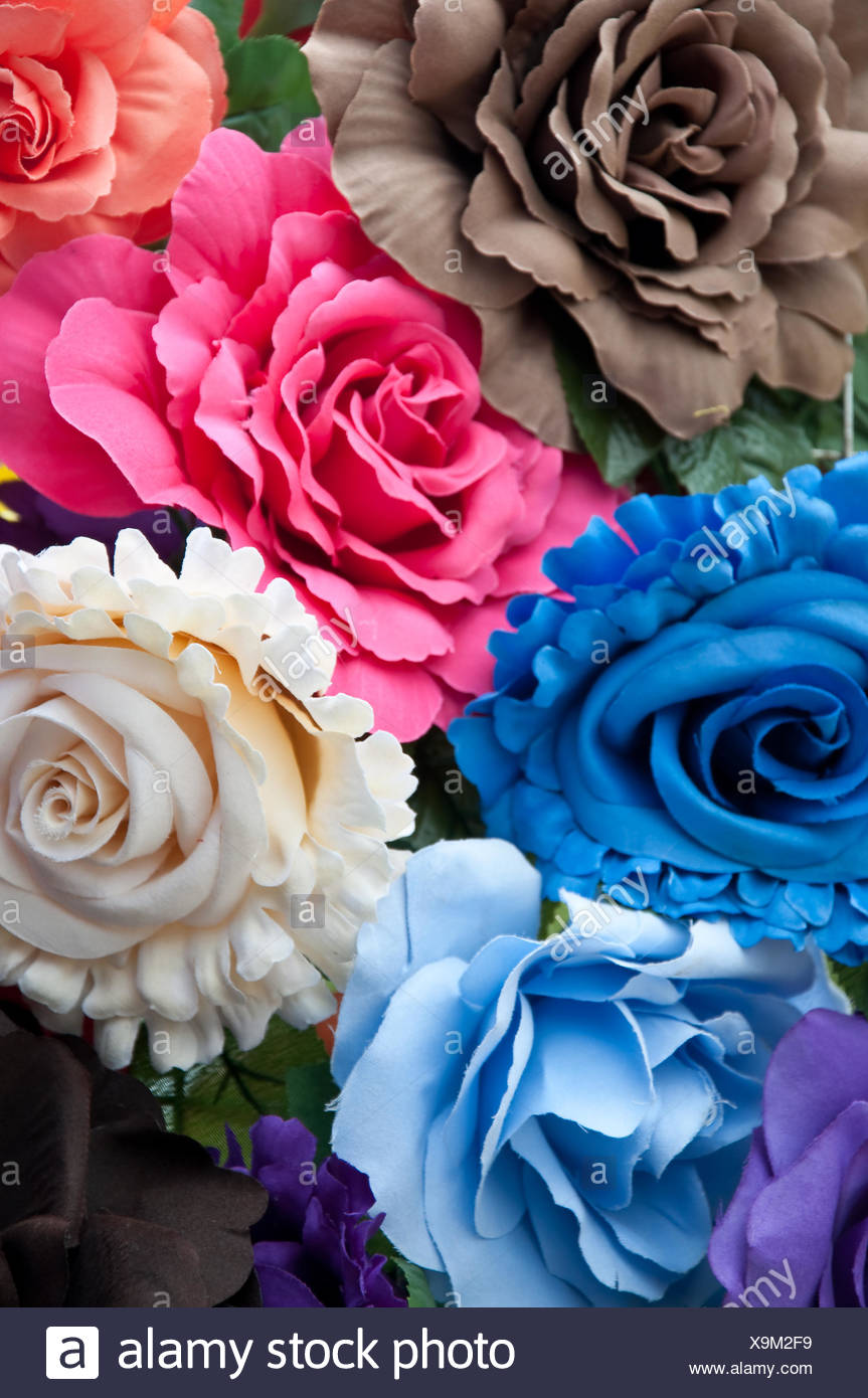 Gypsy Flowers Stock Photos & Gypsy Flowers Stock Images - Alamy