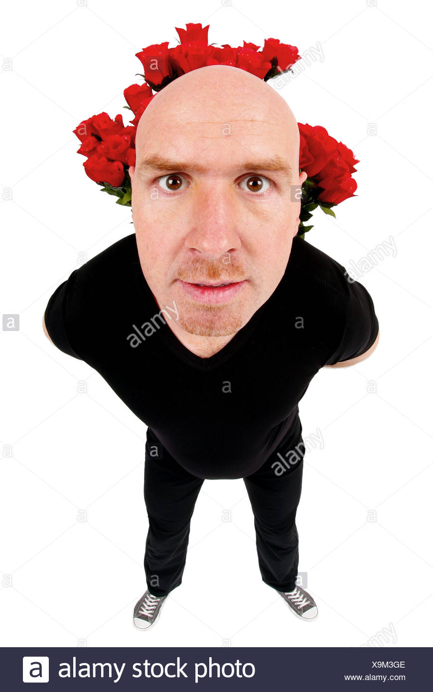 40 Roses High Resolution Stock Photography and Images - Alamy