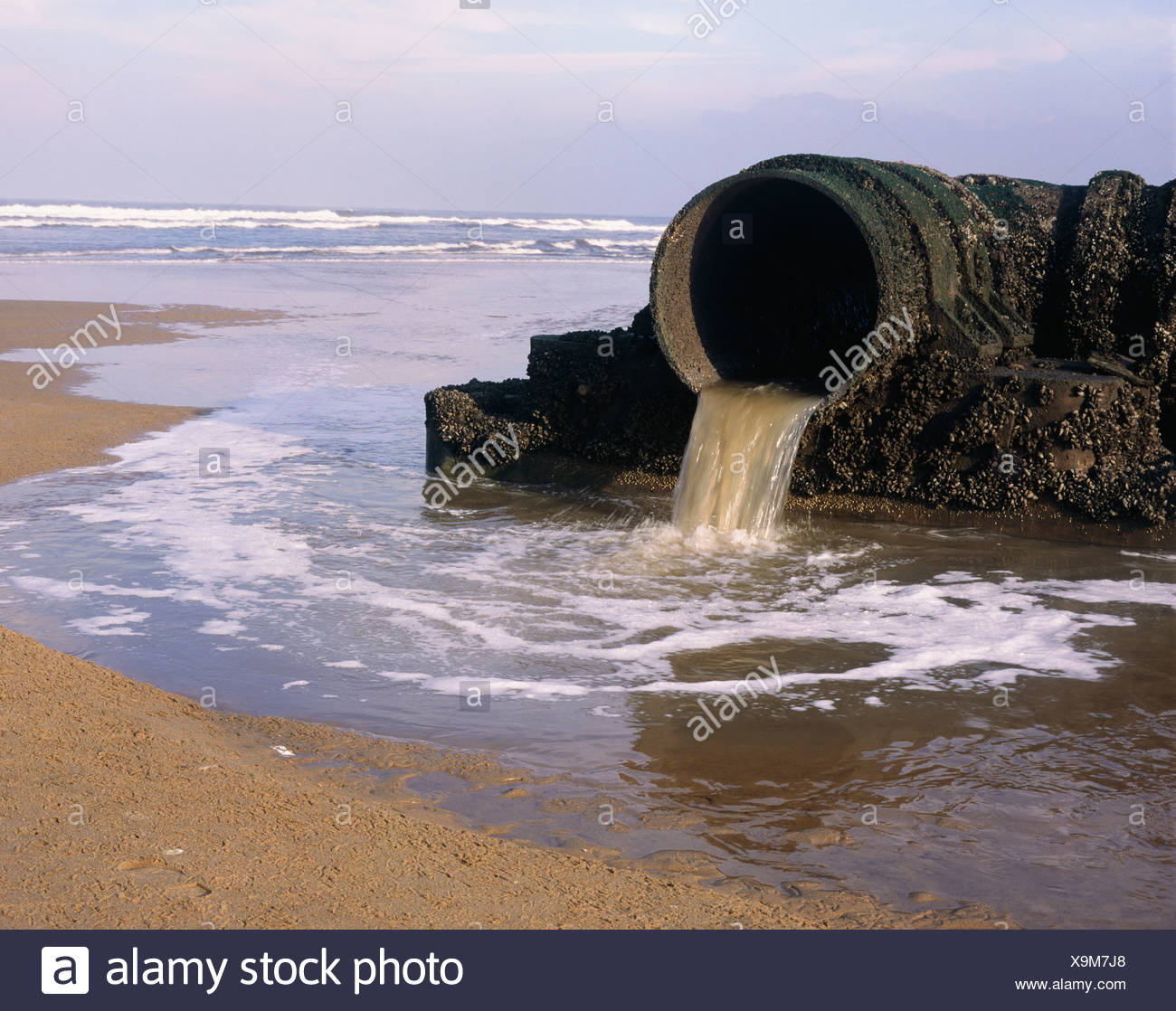 Sewage Beach England Stock Photos & Sewage Beach England Stock Images ...