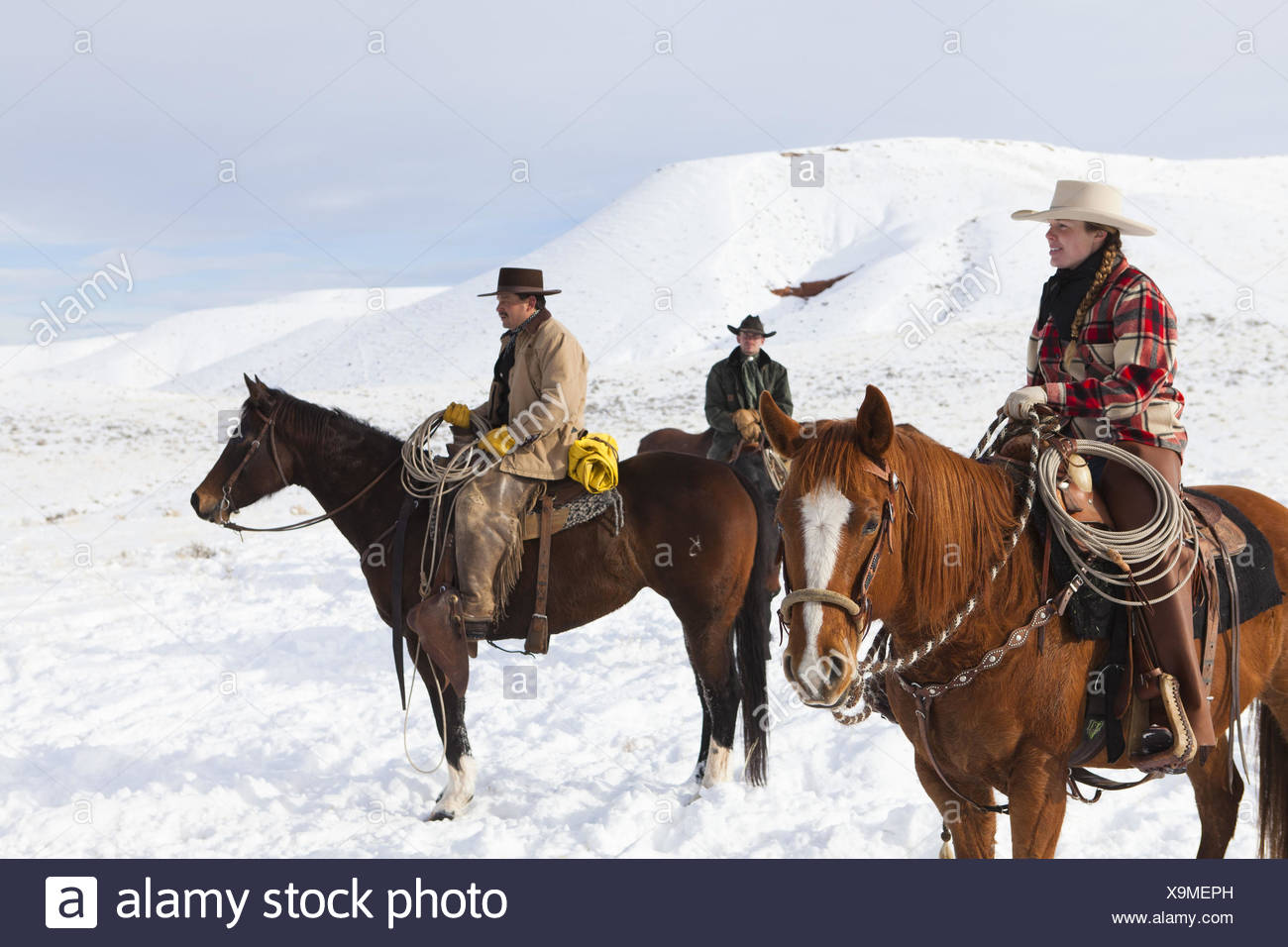 Two Cowboys Riding Horses Stock Photos & Two Cowboys Riding Horses ...