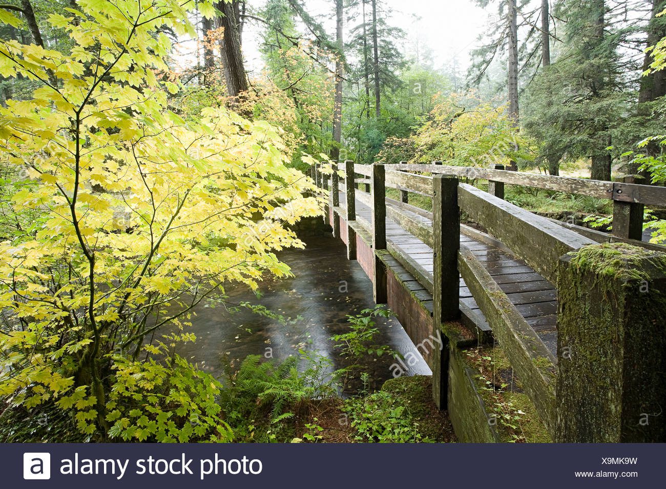 The Silver Bridge Stock Photos & The Silver Bridge Stock Images - Alamy