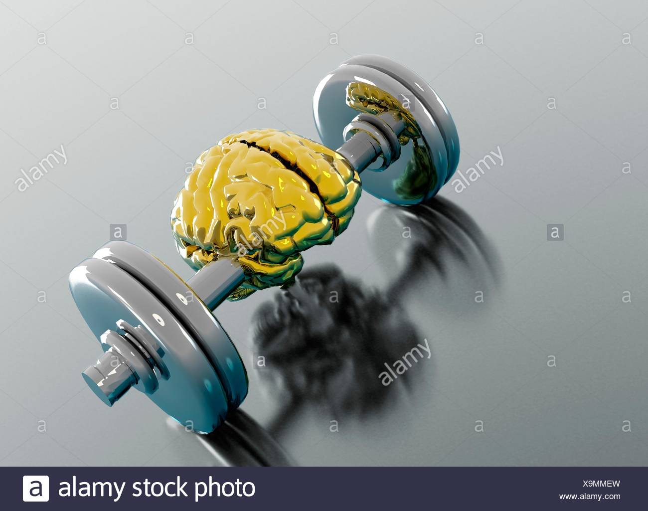 Brain Exercise High Resolution Stock Photography and Images - Alamy