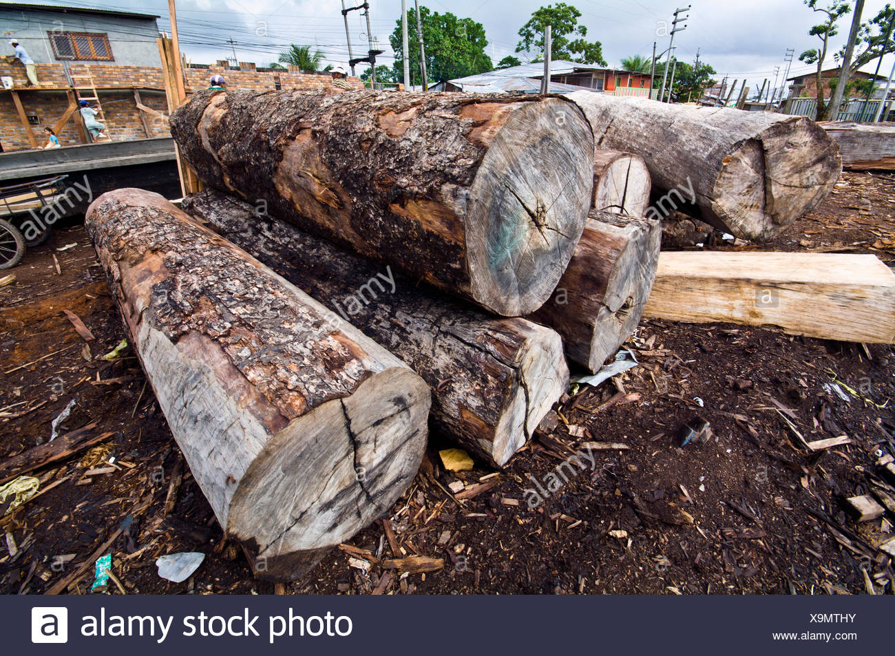 Amazon Rainforest Deforestation Logs High Resolution Stock Photography ...