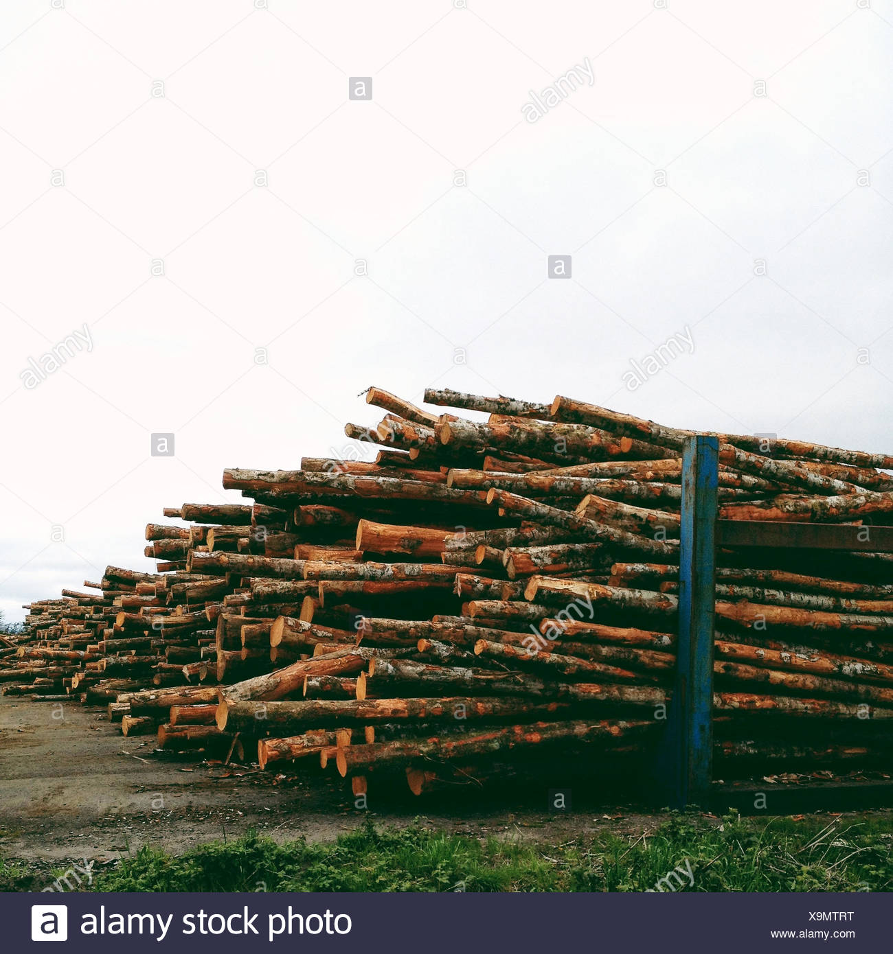 Log Stack Stock Photos & Log Stack Stock Images - Alamy