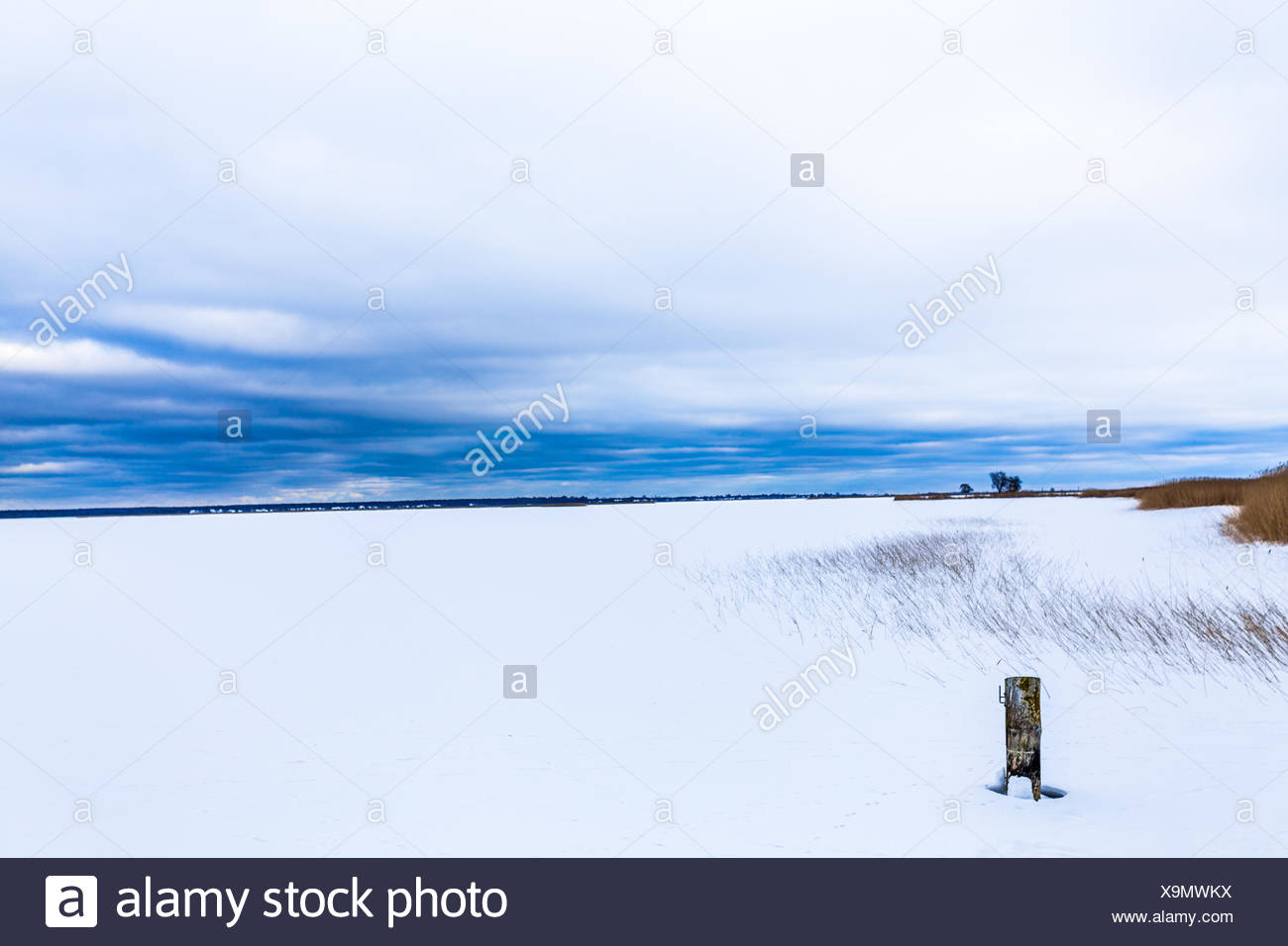 Haff High Resolution Stock Photography and Images - Alamy