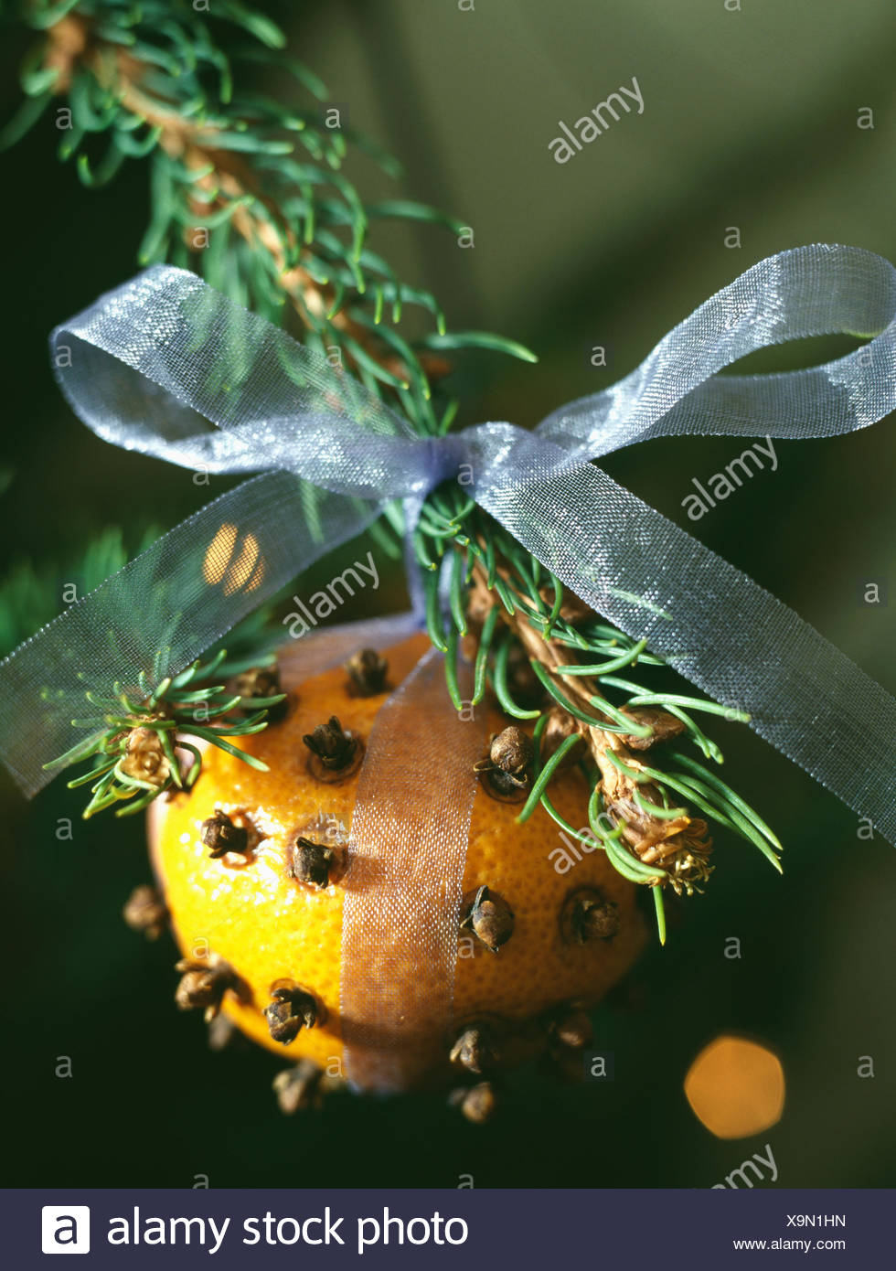 Clove Tree High Resolution Stock Photography and Images - Alamy