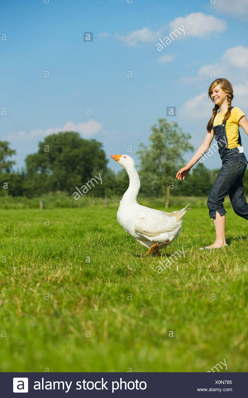 The Goose Girl High Resolution Stock Photography and Images - Alamy