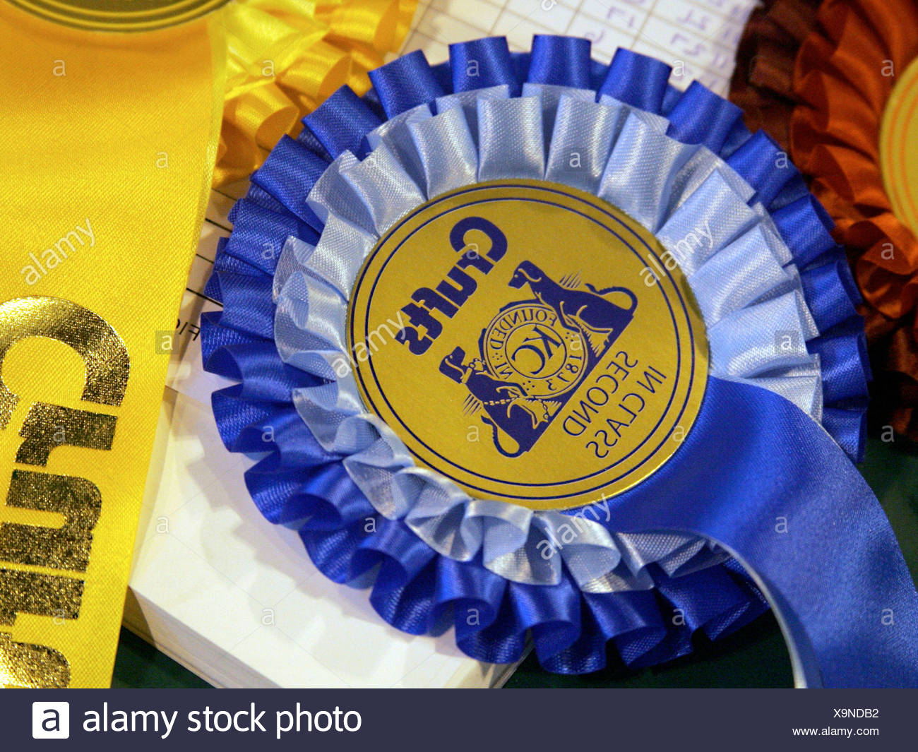 Rossette High Resolution Stock Photography and Images - Alamy