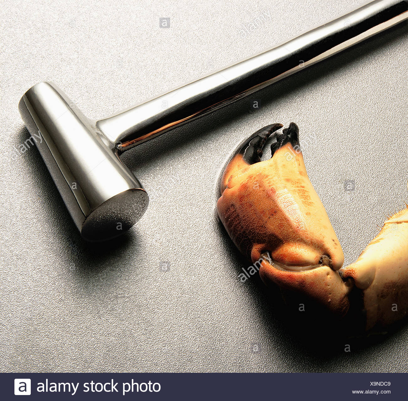 Crab Claw High Resolution Stock Photography and Images - Alamy