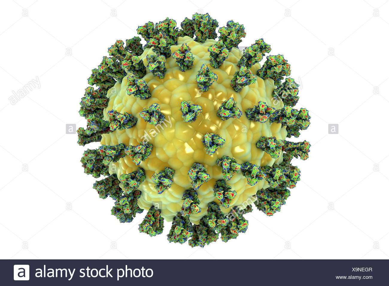 Human Parainfluenza Virus Hpiv Stock Photos & Human Parainfluenza Virus Hpiv Stock Images - Alamy